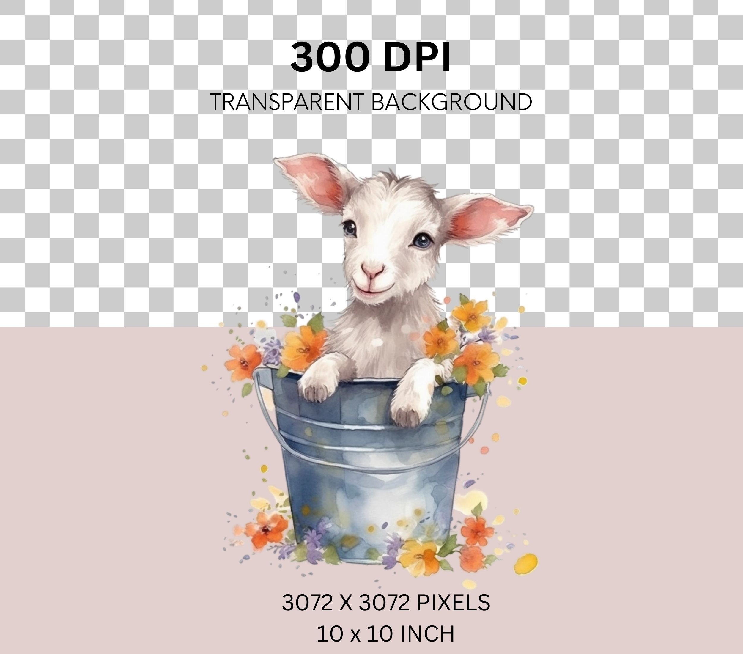 Baby Goat Flower Bucket Watercolor Clipart, Transparent PNG, Digital ...