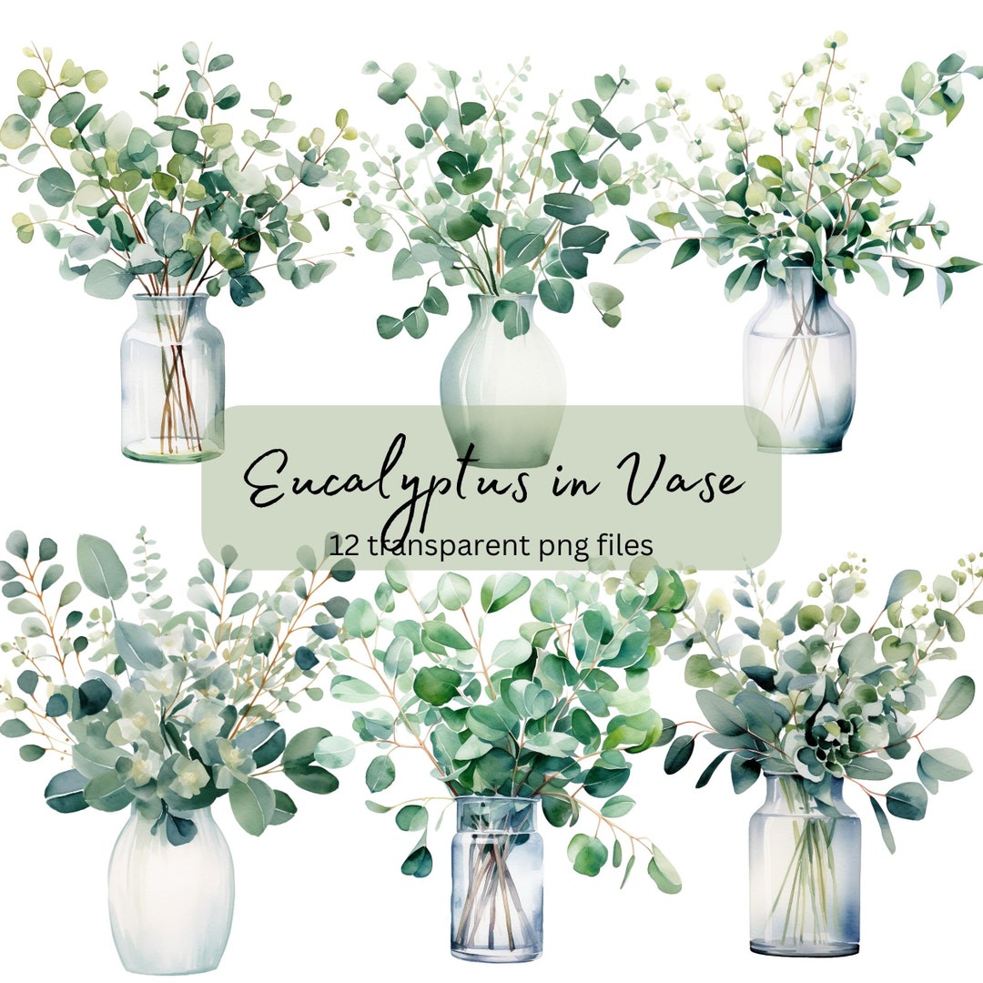 Eucalyptus Vase Clipart Bundle, Transparent Png,digital Download Card ...