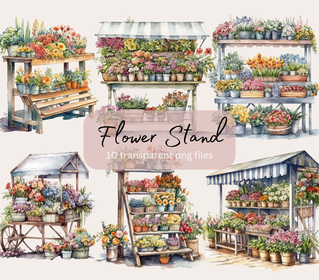 Flower Stand Clipart Bundle, Transparent PNG, Digital Download Card ...