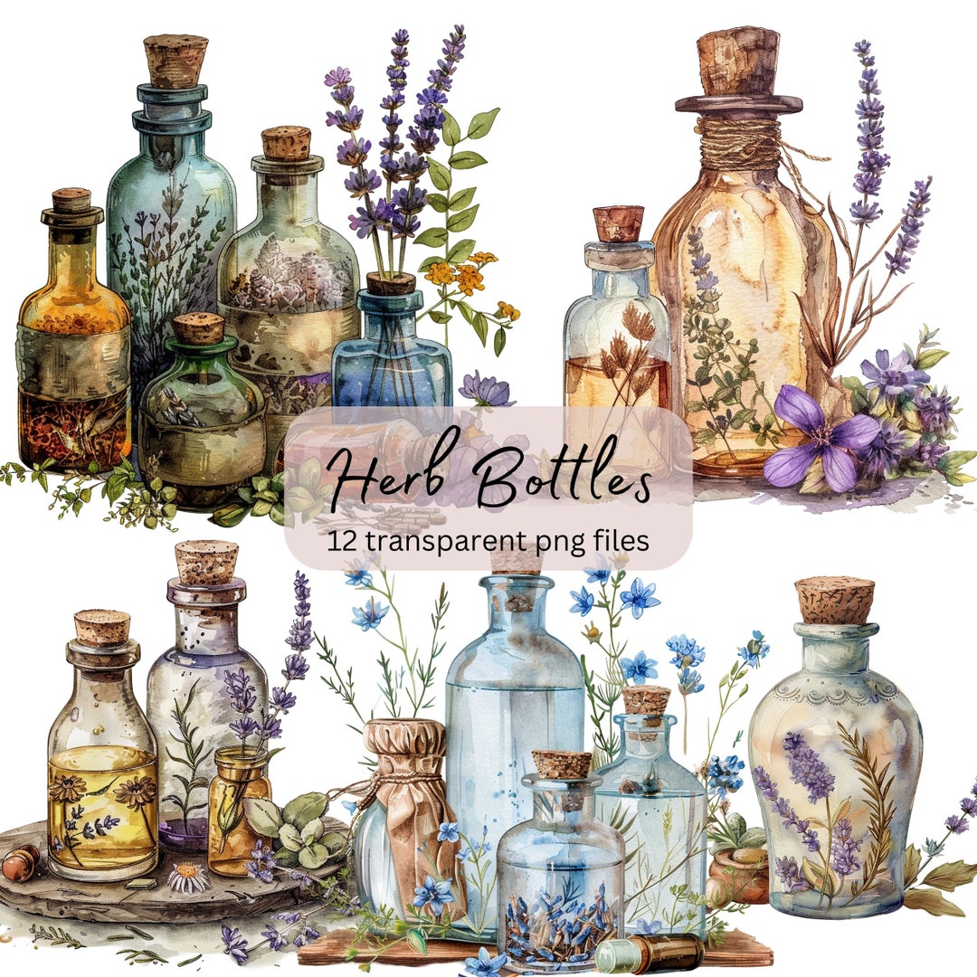 Herb Bottles Watercolor Clipart Bundle, Transparent PNG, Digital ...