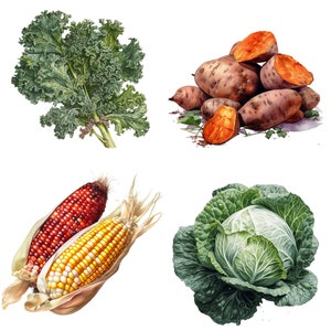 Vegetables Clipart Bundle, Transparent PNG, Summer Clipart, Digital ...