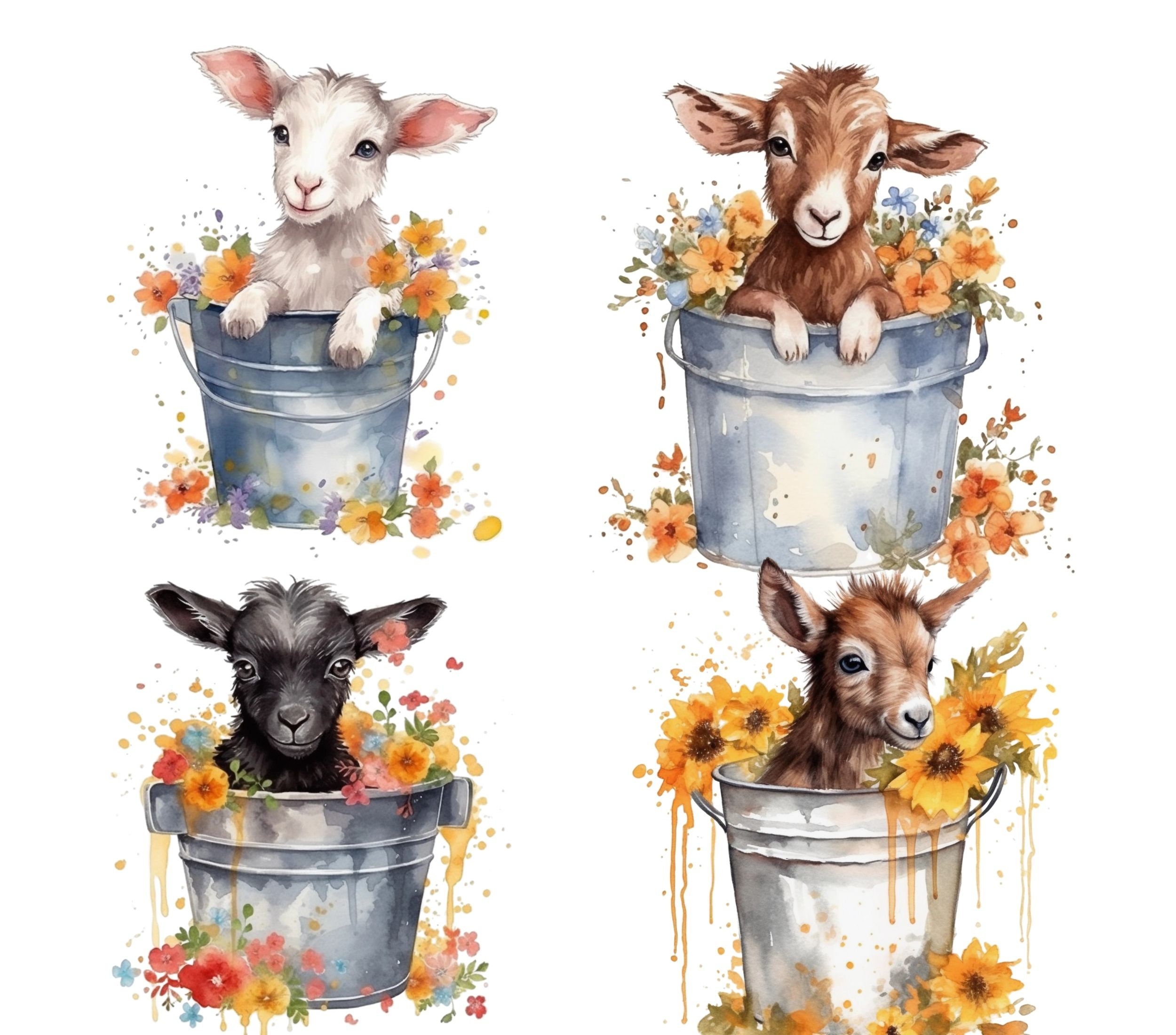 Baby Goat Flower Bucket Watercolor Clipart, Transparent PNG, Digital ...