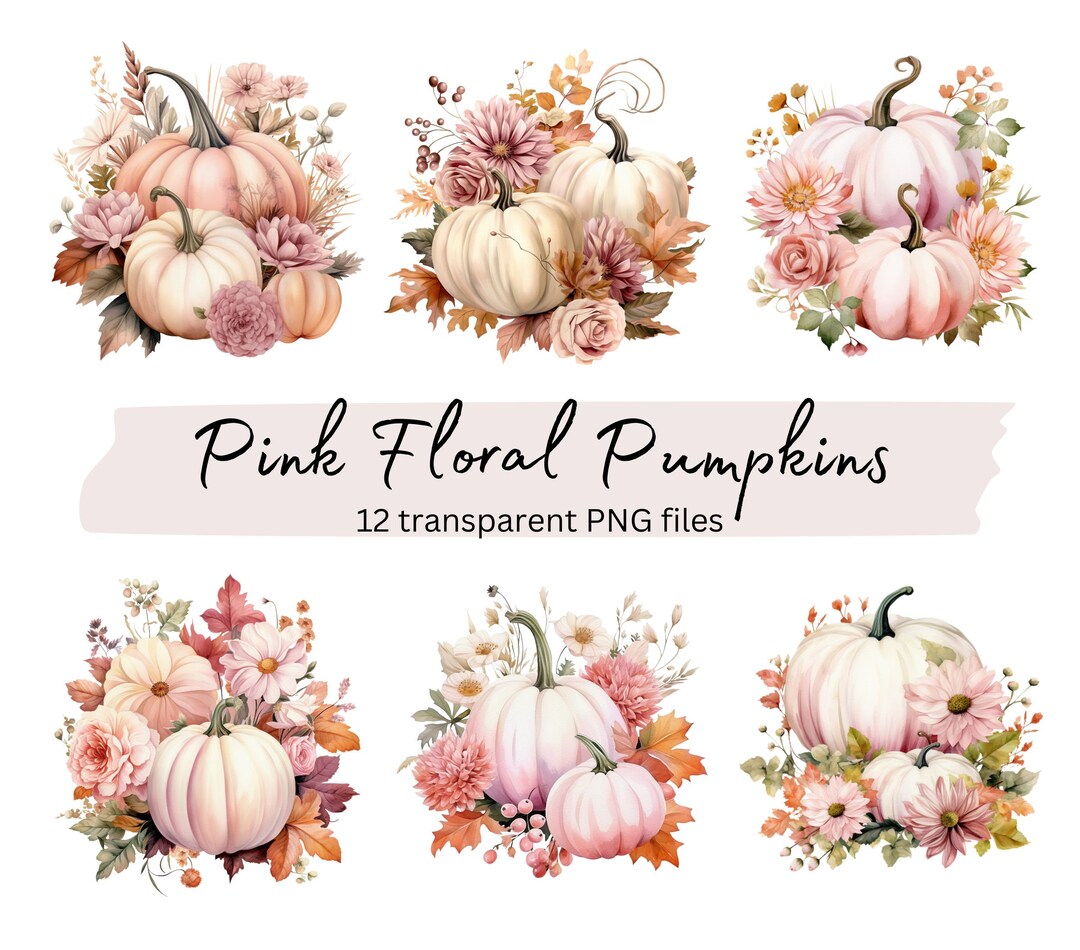 Pink Pumpkins Watercolor Clipart Bundle, Transparent PNG, Digital ...