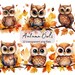 Autumn Owls Watercolor Clipart, Transparent PNG, Digital Download, Card ...