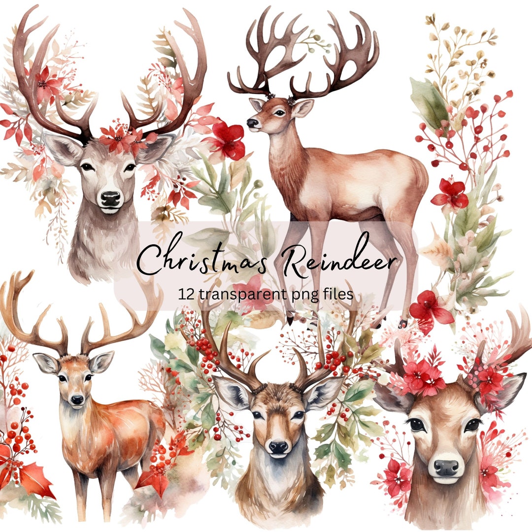 Christmas Reindeer Watercolor Clipart Bundle, Transparent PNG, Cute ...