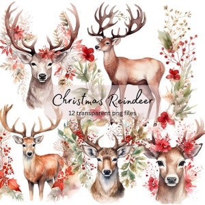 Christmas Reindeer Watercolor Clipart Bundle, Transparent PNG, Cute ...