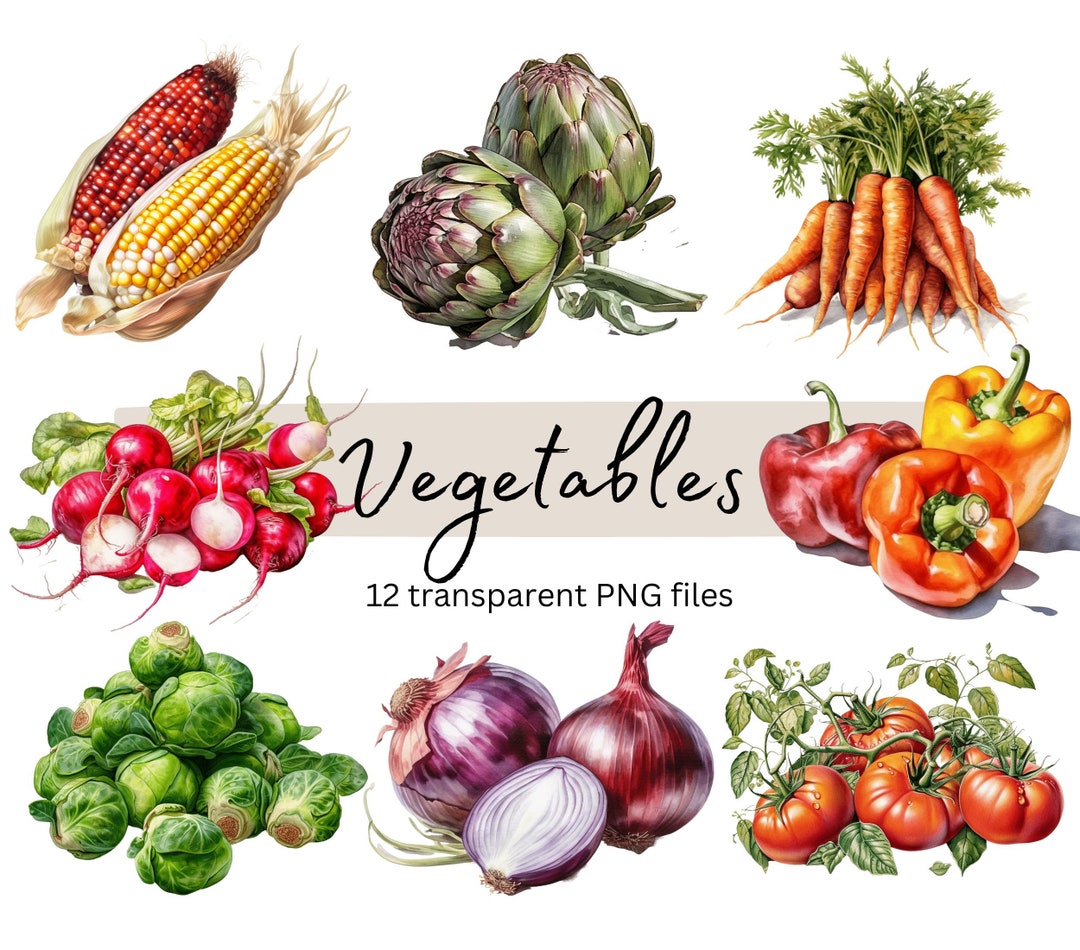 Vegetables Clipart Bundle, Transparent PNG, Summer Clipart, Digital ...