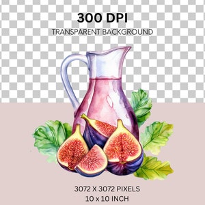Watercolor Fig Clipart Bundle, Transparent PNG, Digital Download ...