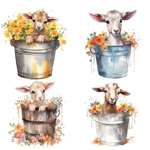 Baby Goat Flower Bucket Watercolor Clipart, Transparent PNG, Digital ...