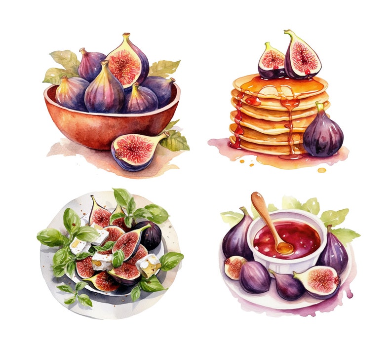 Watercolor Fig Clipart Bundle Transparent PNG Digital - Etsy