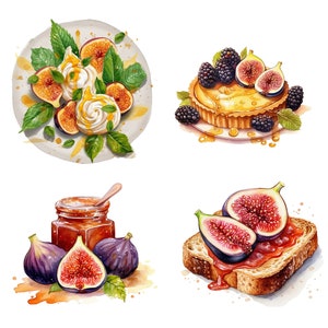Watercolor Fig Clipart Bundle, Transparent PNG, Digital Download ...