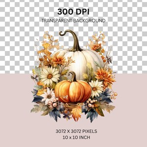Autumn Pumpkins Watercolor Clipart Bundle, Transparent PNG, Digital ...
