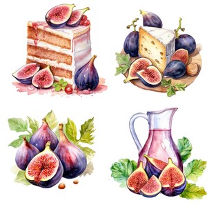 Watercolor Fig Clipart Bundle, Transparent PNG, Digital Download ...