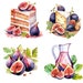 Watercolor Fig Clipart Bundle, Transparent PNG, Digital Download ...
