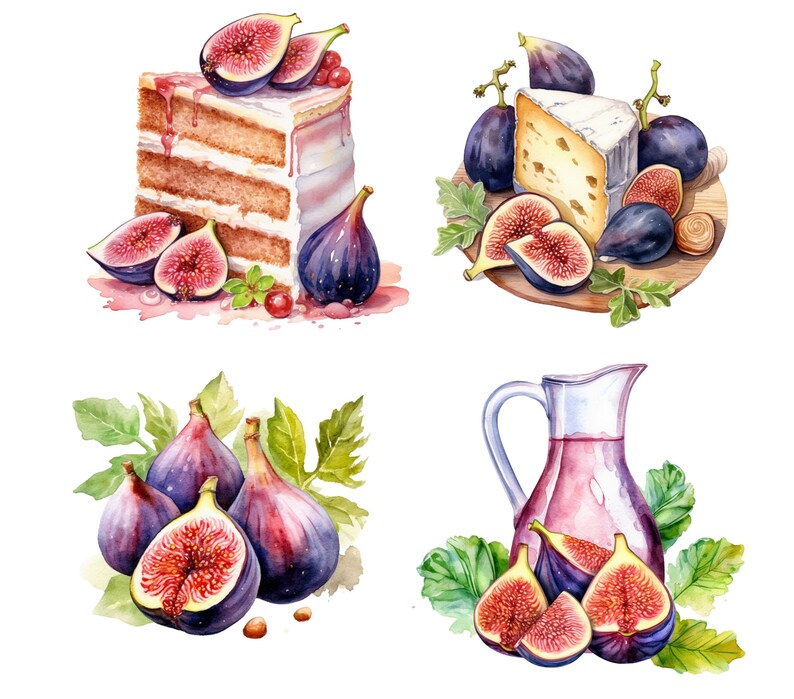 Watercolor Fig Clipart Bundle Transparent PNG Digital - Etsy