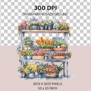 Flower Stand Clipart Bundle, Transparent PNG, Digital Download Card ...