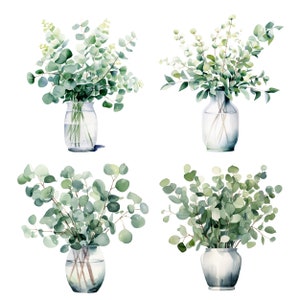 Eucalyptus Vase Clipart Bundle, Transparent Png,digital Download Card ...