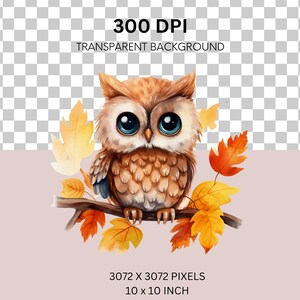 Autumn Owls Watercolor Clipart, Transparent PNG, Digital Download, Card ...