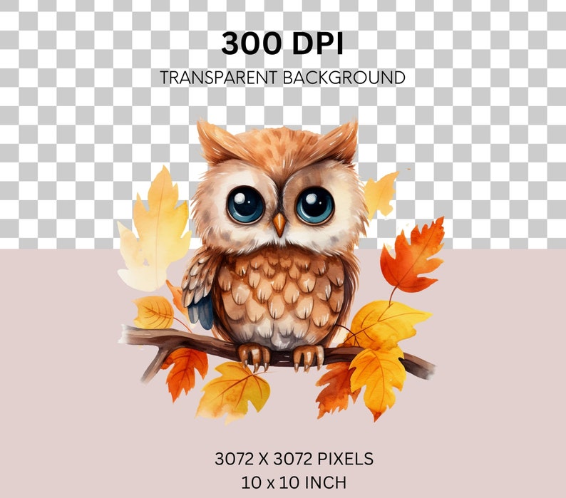 Autumn Owls Watercolor Clipart, Transparent PNG, Digital Download, Card ...