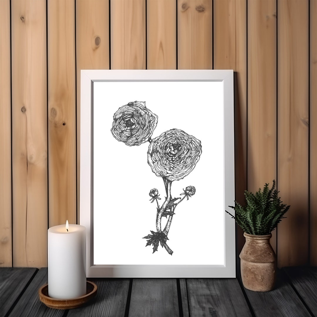 PRINTABLE Ranunculus Art Print, Ranunculus Flower, Wall Art, Botanical ...