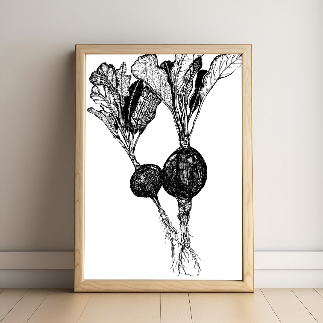 PRINTABLE Radish Art, Wall Art, Digital Print, Garden Art, Vegetable ...