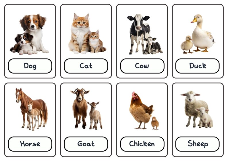 Animal & Baby Printable Flashcards Montessori Cards Educational Pre ...