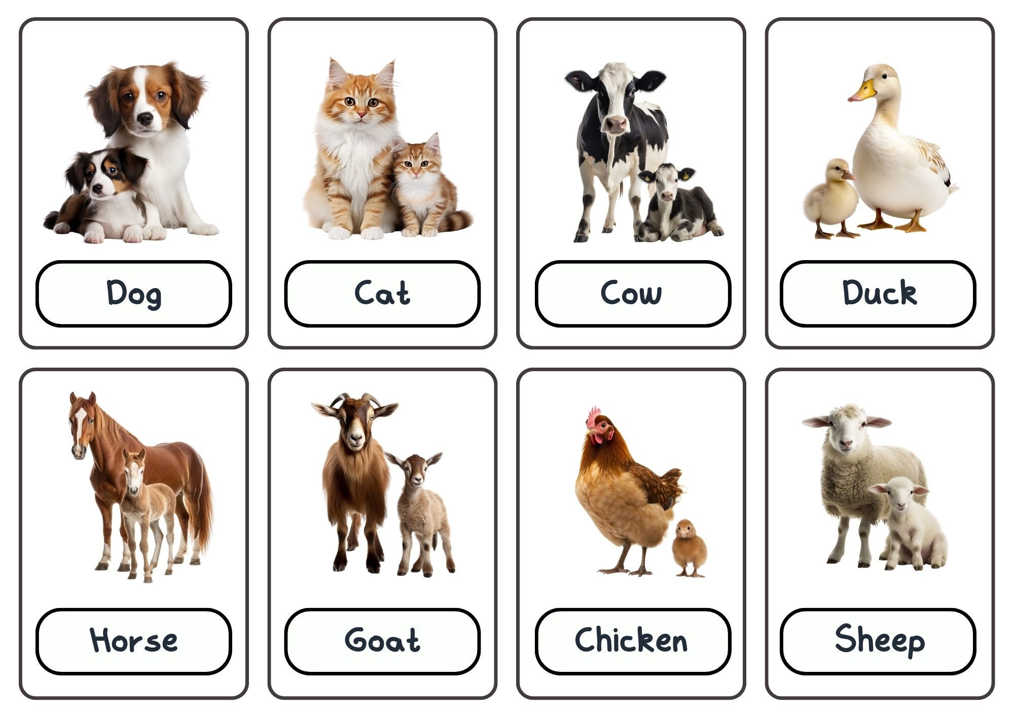 Animal & Baby Printable Flashcards | Montessori Cards | Educational ...