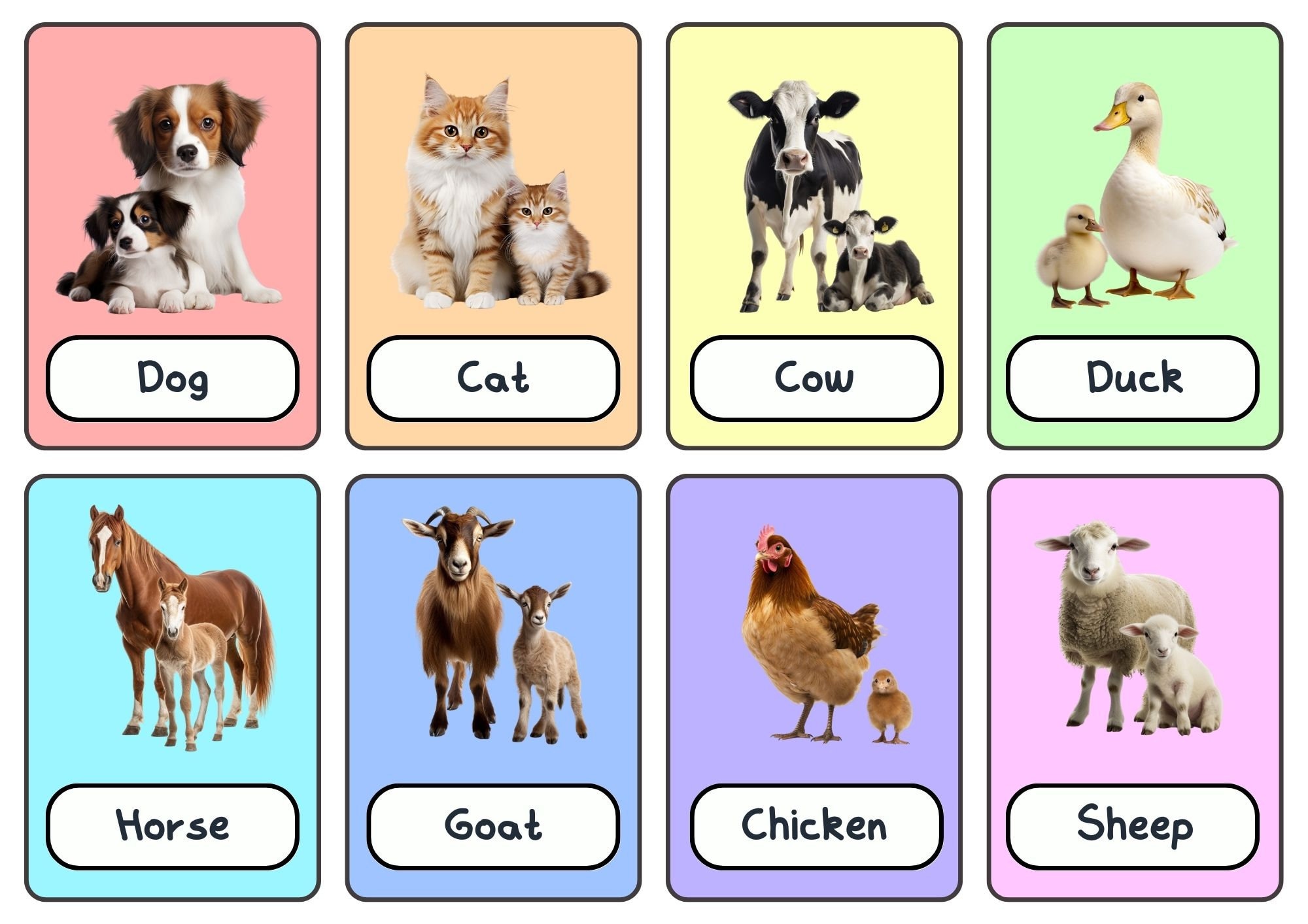 Animal & Baby Printable Flashcards | Montessori Cards | Educational ...