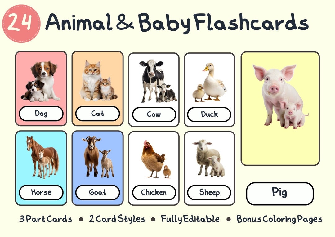 Animal & Baby Printable Flashcards | Montessori Cards | Educational ...