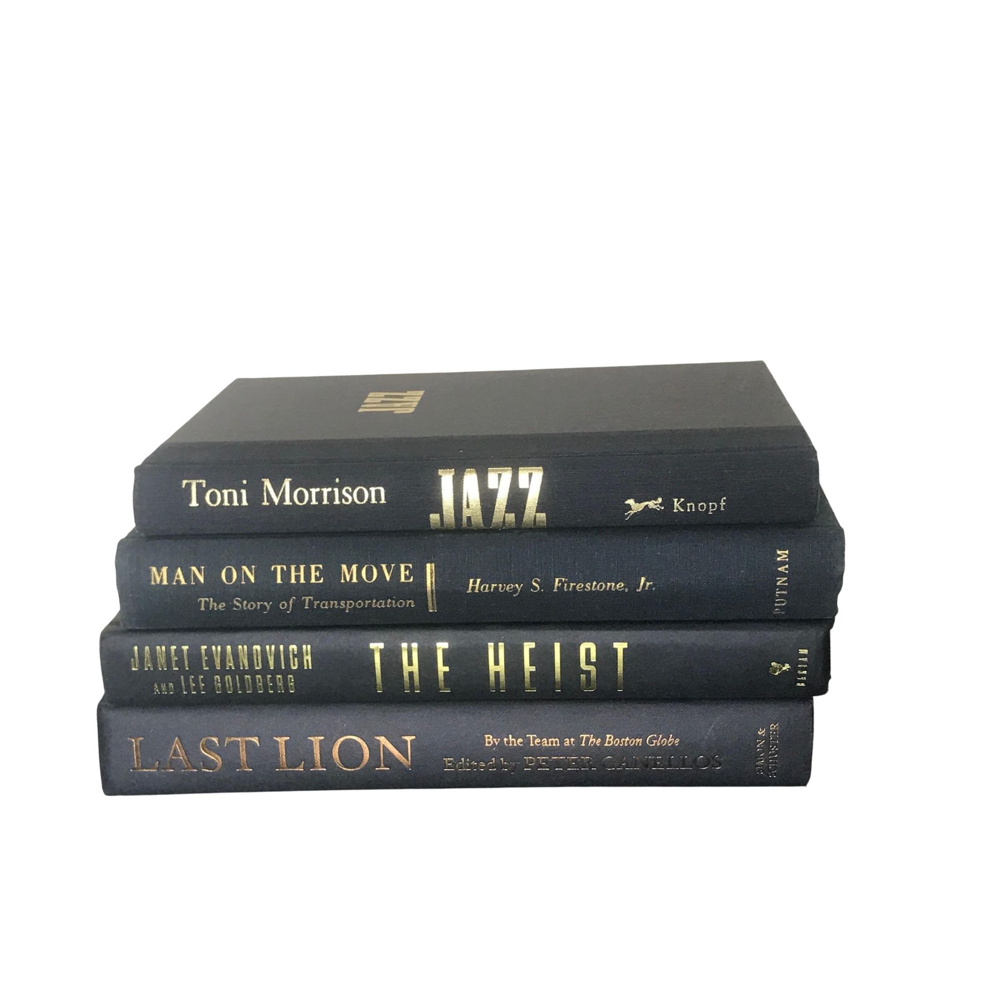 Decorative Book Set - Black Bundle, Coordinating Hues - Home Decor ...