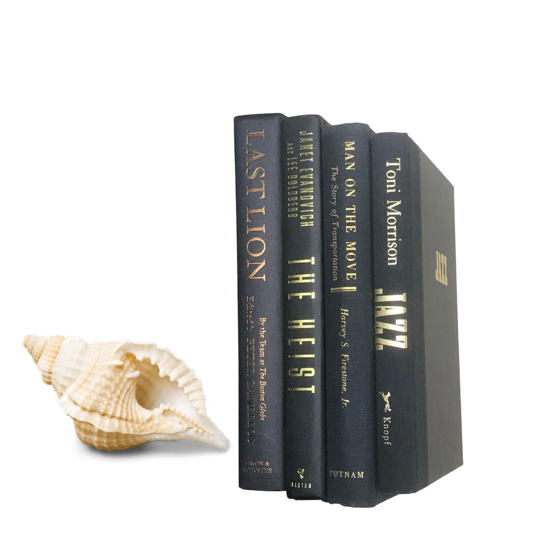Decorative Book Set - Black Bundle, Coordinating Hues - Home Decor ...