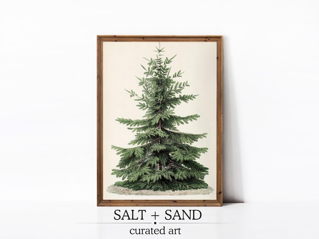 Vintage Pine Tree Art Print L Rustic Winter Art L Farmhouse Christmas ...