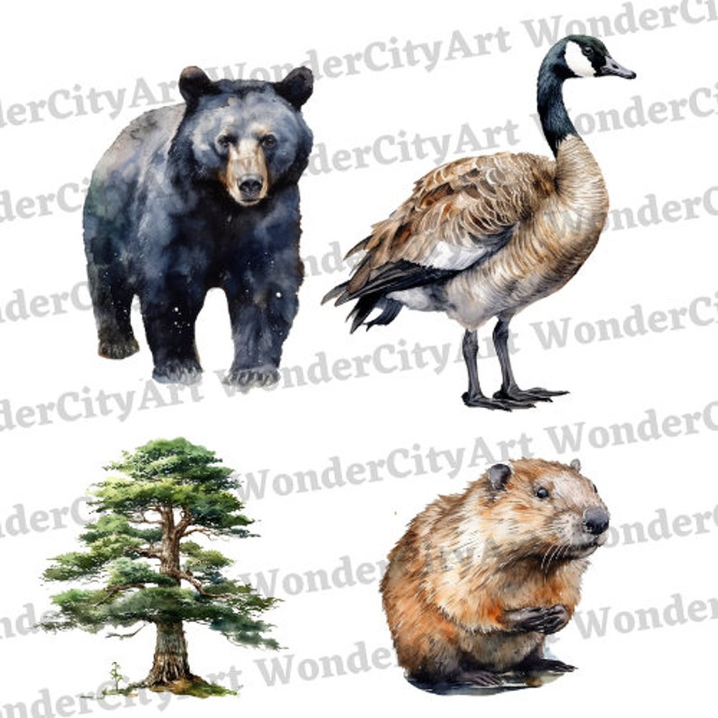 20 Canadian Themed Clip Art Files, PNG Digital Download, Unique Digital ...