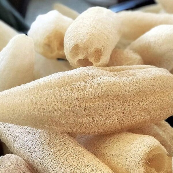 Luffa Sponge - Etsy