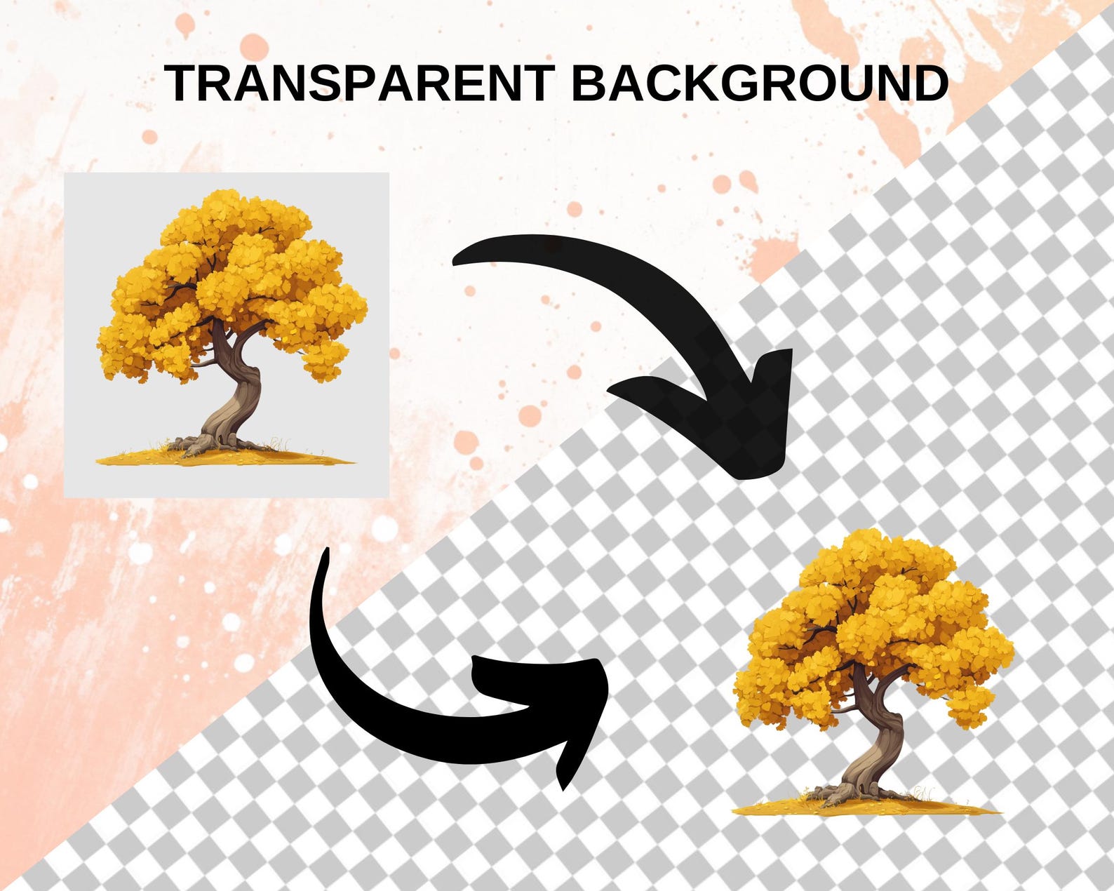 Autumn Tree Pack 1 Clipart | 300 DPI Files 10 PNG Digital Download - Etsy