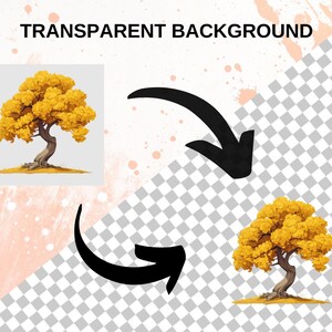 Autumn Tree Pack 1 Clipart | 300 DPI Files 10 PNG Digital Download - Etsy