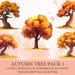 Autumn Tree Pack 1 Clipart 300 DPI Files 10 PNG Digital Download - Etsy