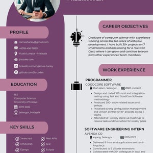 Programmer Resume Templates - Etsy