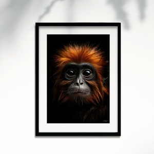Soulful Monkey | Wildlife Print | Nature Animal Photography | Close-up ...