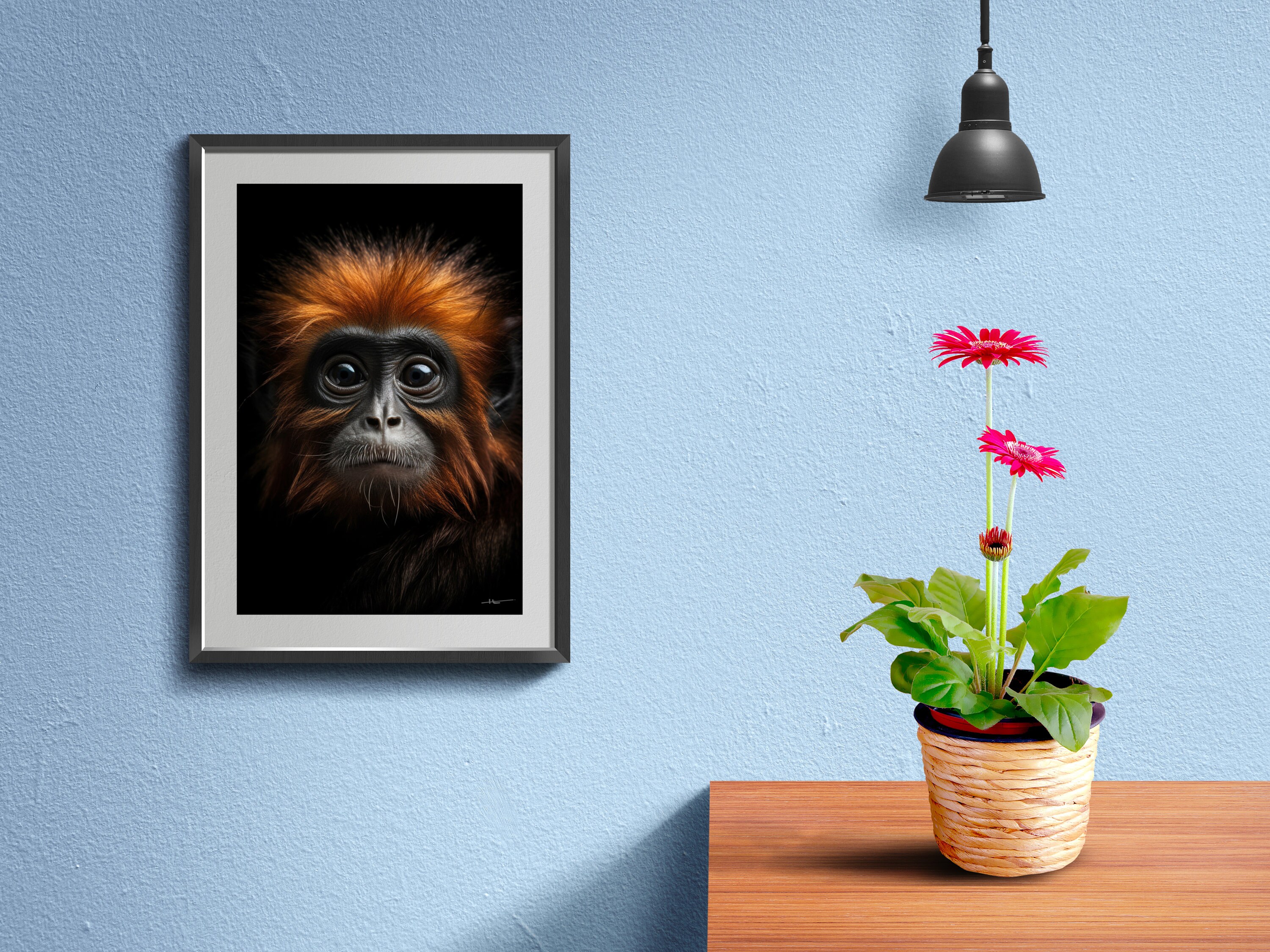 Soulful Monkey Wildlife Print Nature Animal Photography Close-up ...