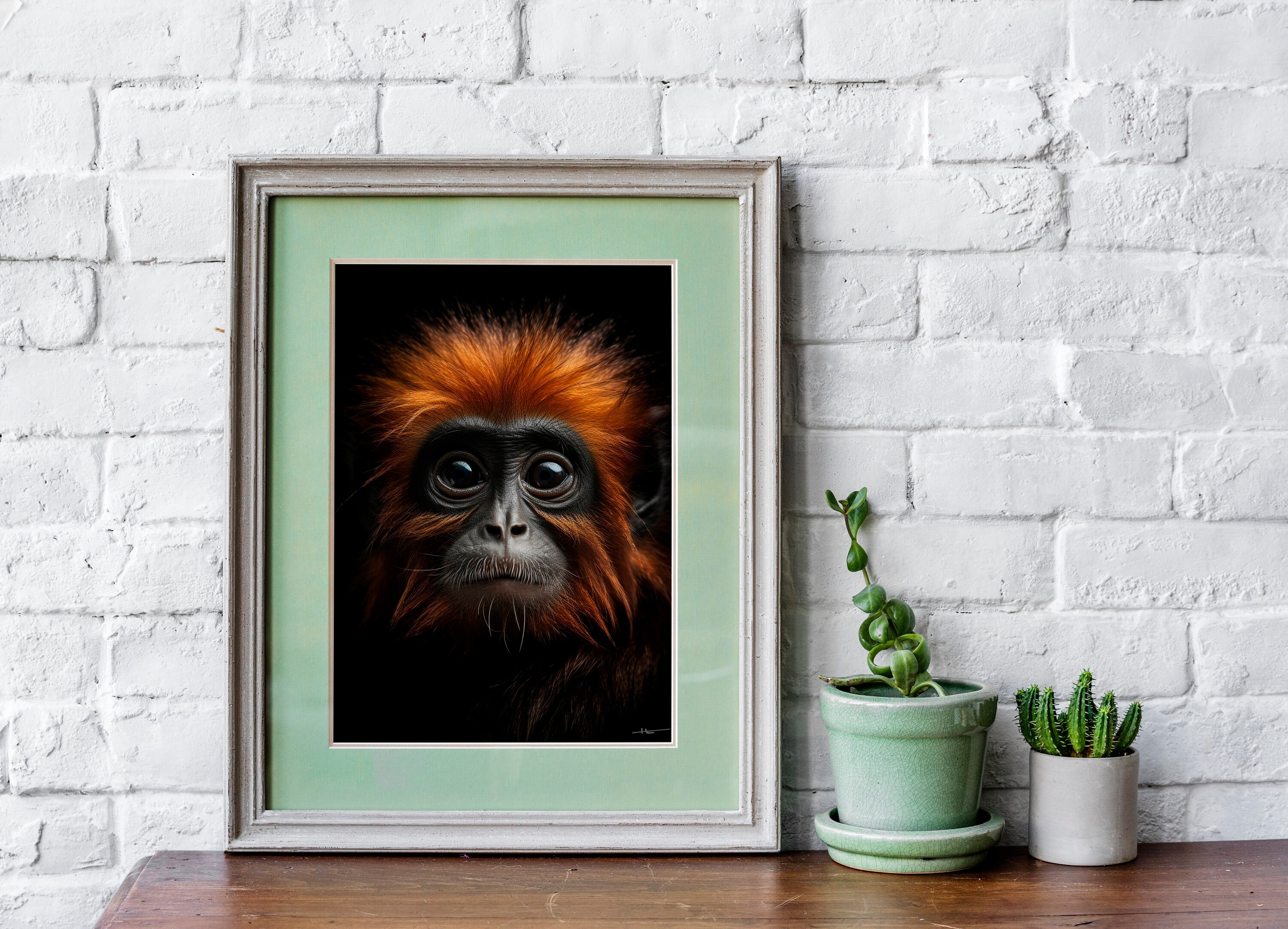 Soulful Monkey Wildlife Print Nature Animal Photography Close-up ...