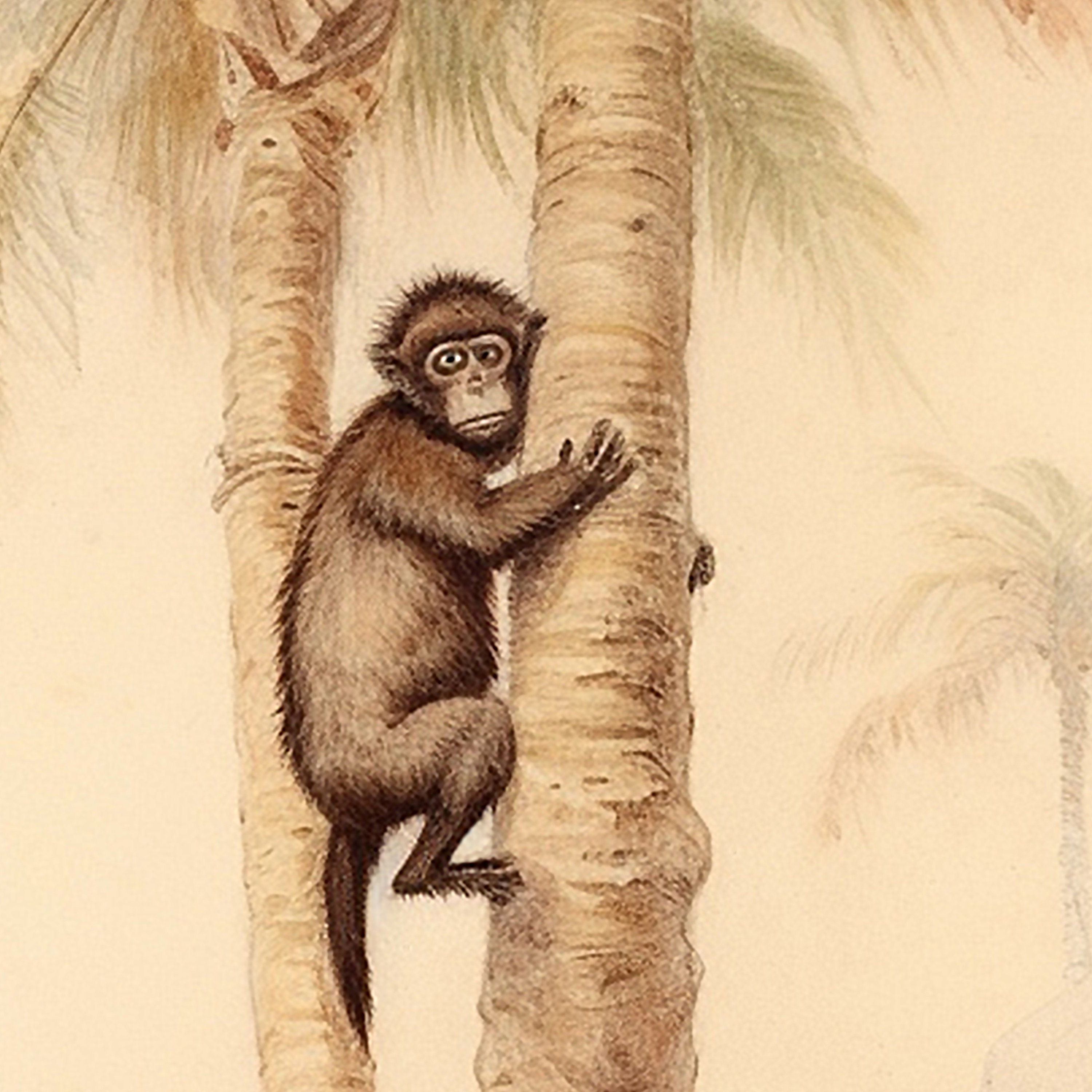 Two Cross-eyed Monkeys in a Palm Tree Colonial Home Decor Art Print ...