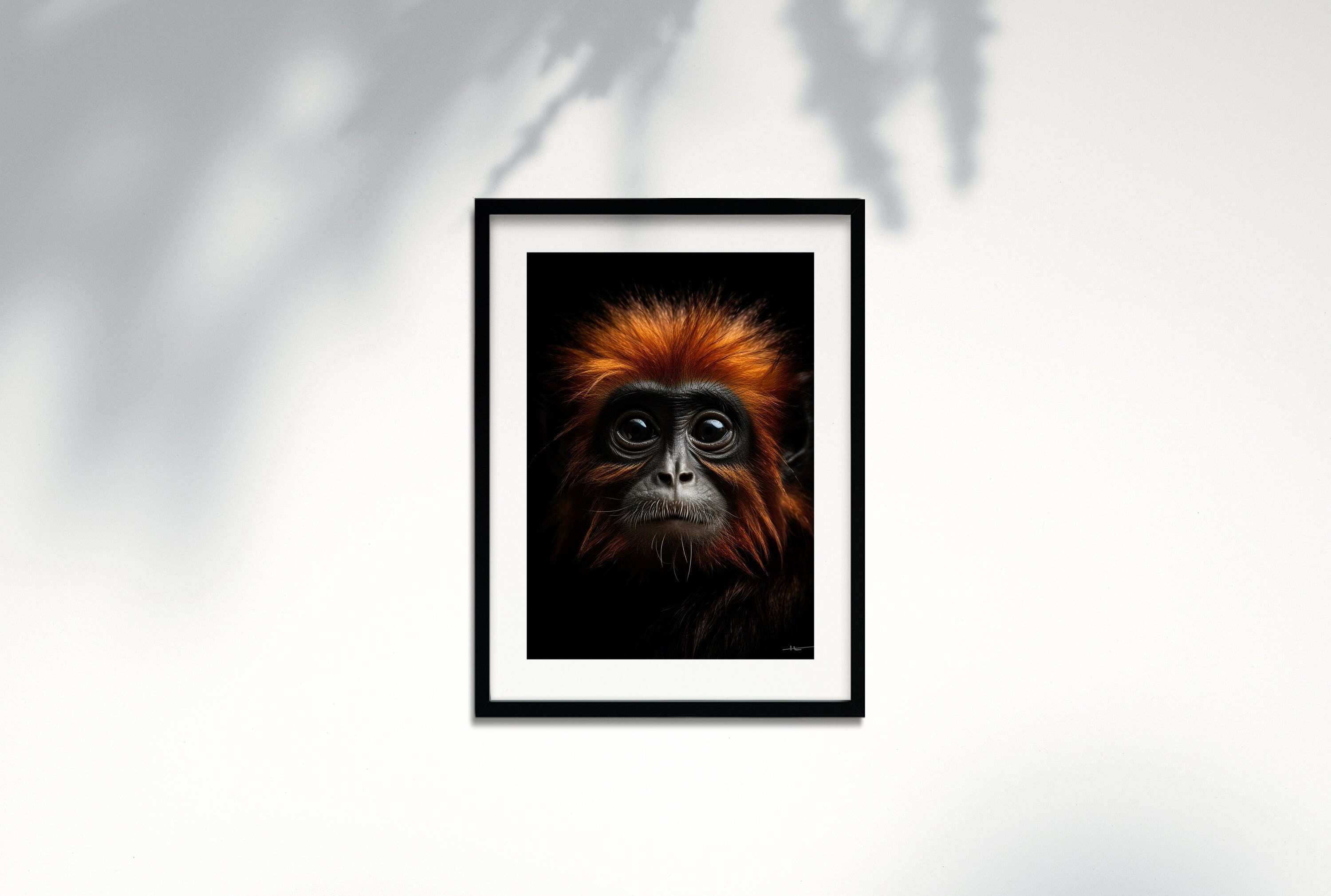 Soulful Monkey Wildlife Print Nature Animal Photography Close-up ...