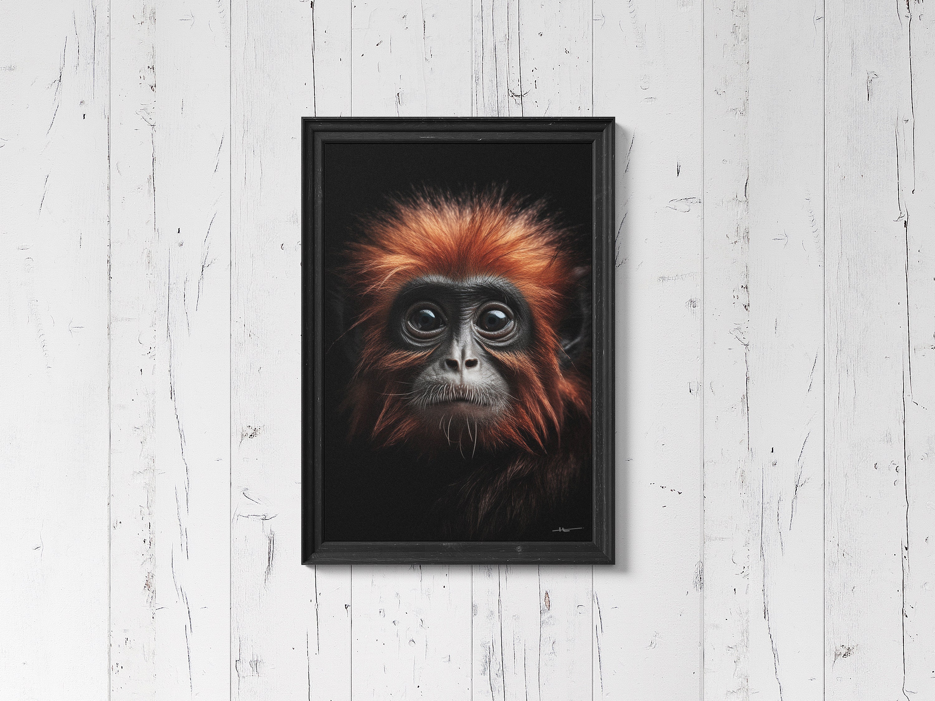 Soulful Monkey Wildlife Print Nature Animal Photography Close-up ...