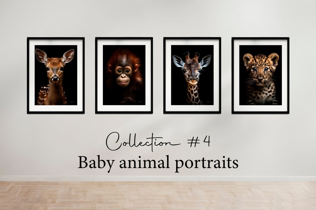 Baby Animal Pack Cub, Fawn, Monkey, Giraffe Wildlife Animal Photography ...