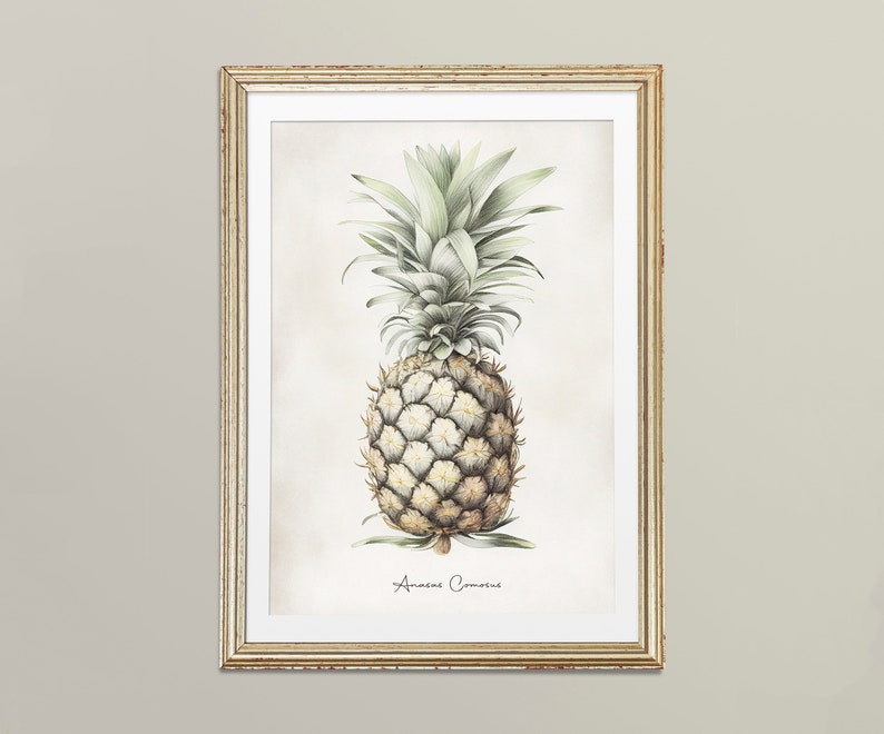 Vintage Art of a Pineapple | Colonial Art Print | Home Decor Interior ...