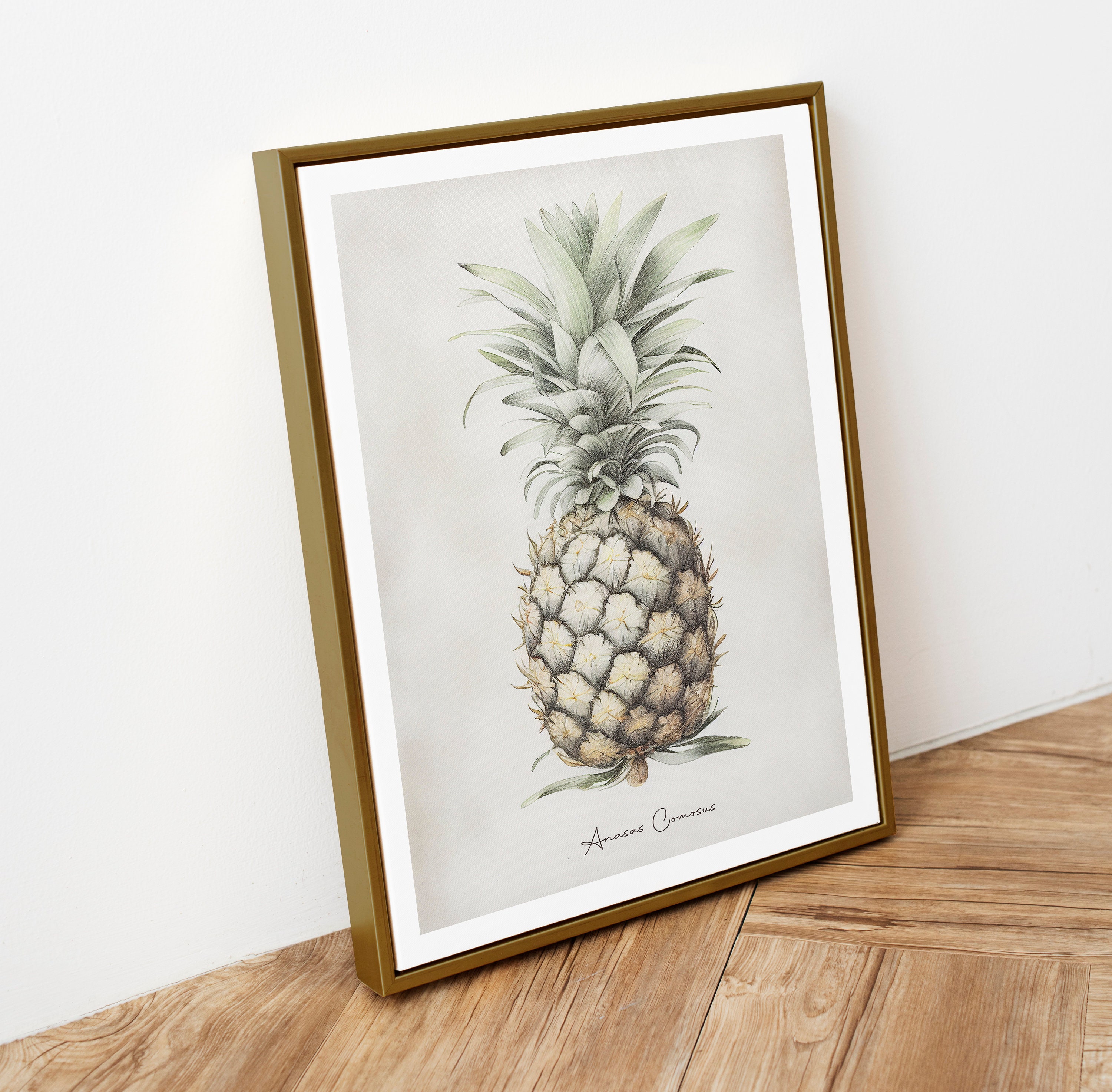 Vintage Art of a Pineapple | Colonial Art Print | Home Decor Interior ...
