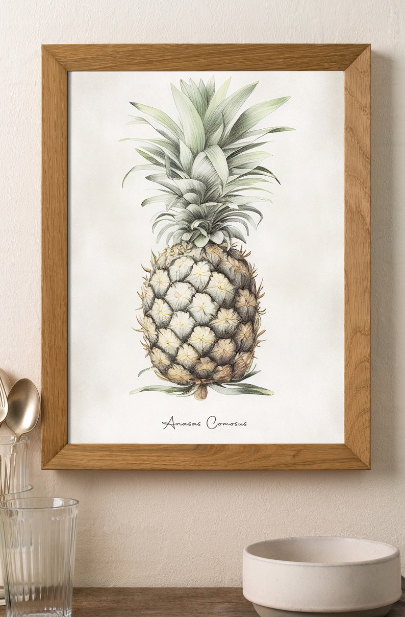 Vintage Art of a Pineapple | Colonial Art Print | Home Decor Interior ...