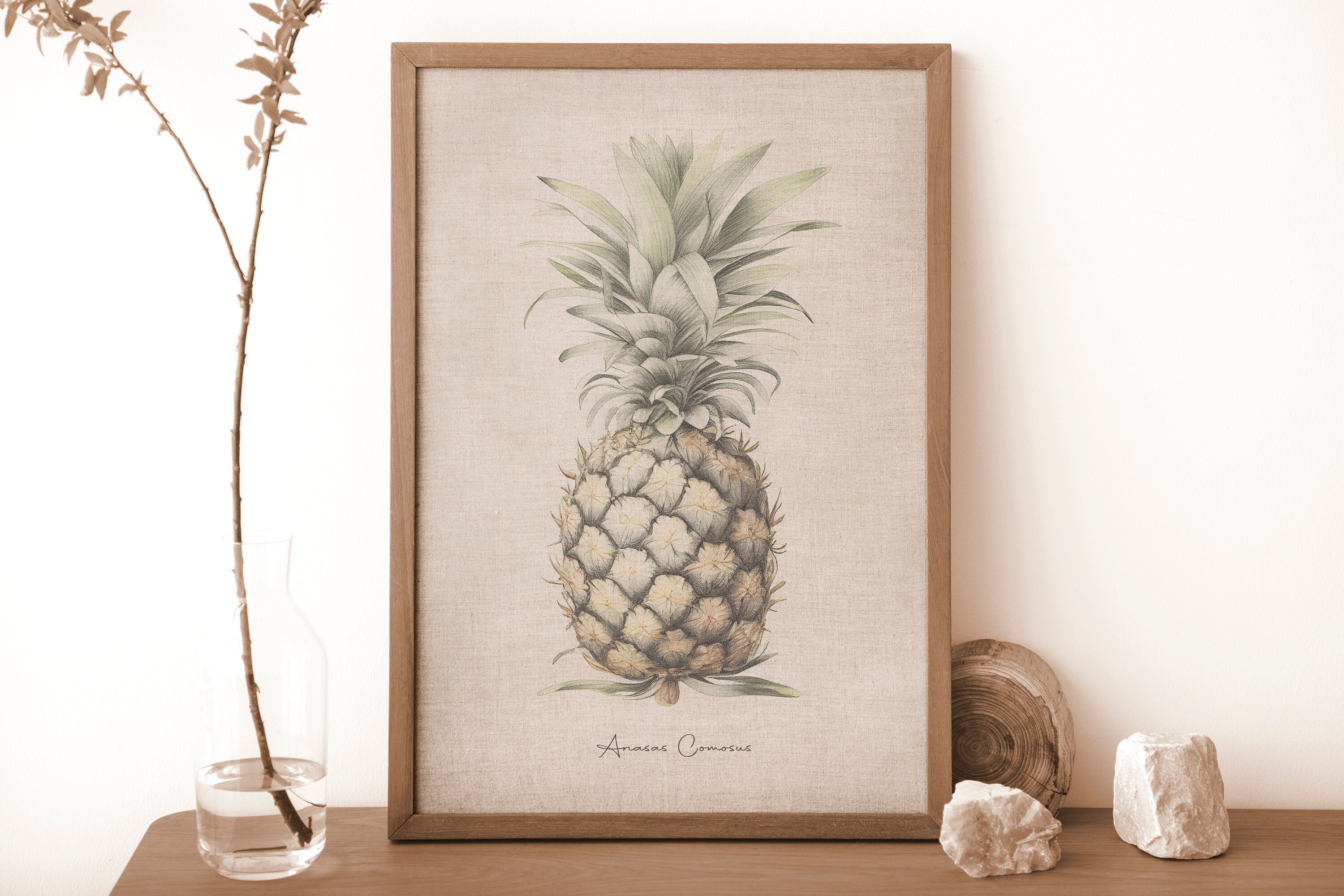 Vintage Art of a Pineapple | Colonial Art Print | Home Decor Interior ...