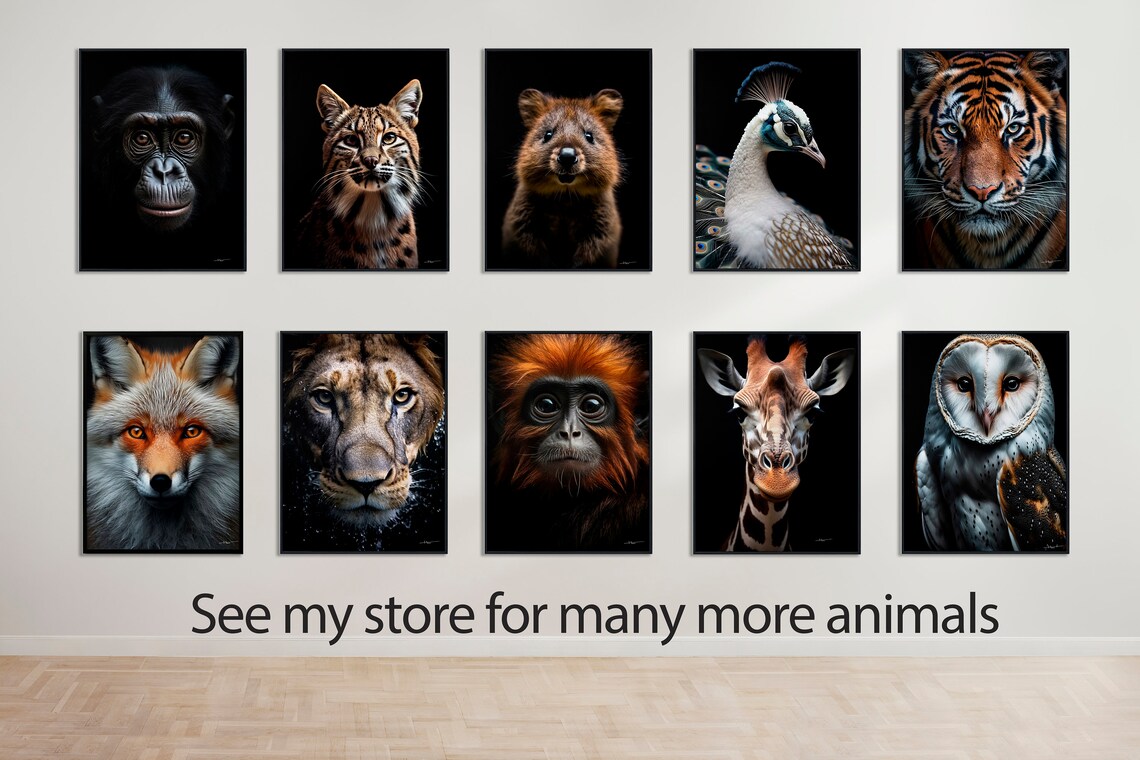 Soulful Monkey Wildlife Print Nature Animal Photography Close-up ...